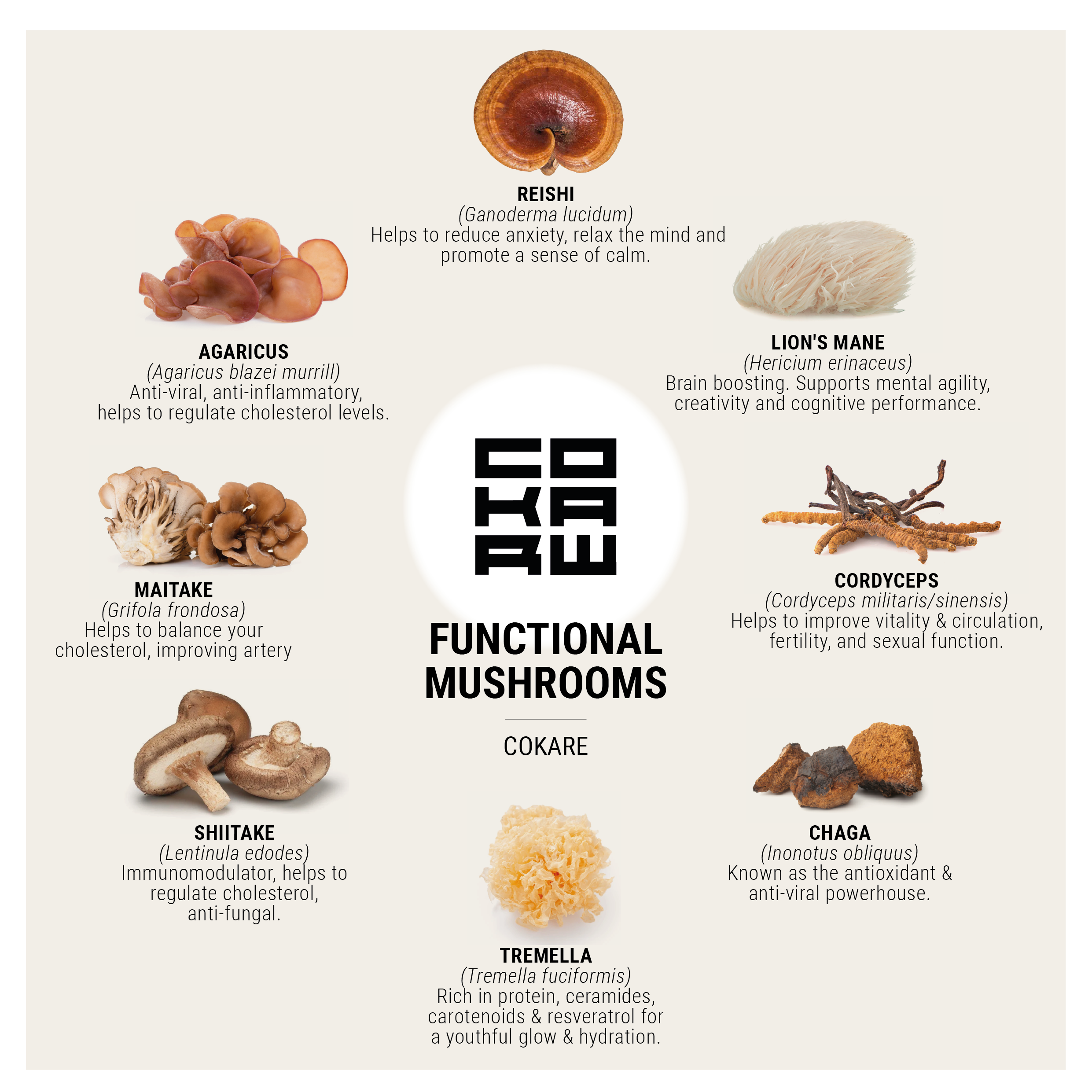 What are adaptogenic mushrooms - Science - Journal | Cokare - Conscious ...